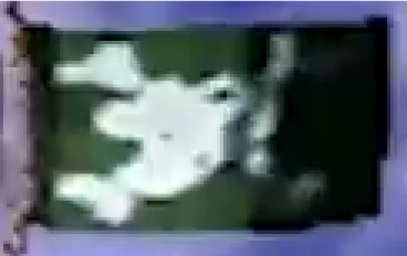 Kremling Krew | Codename:Kids Next Door Wiki | Fandom