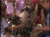 Kidsongs: A Day at Old MacDonald's Farm | Kidsongs Wiki | Fandom