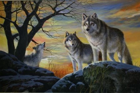 Wildlife | Kierra Wikia | Fandom