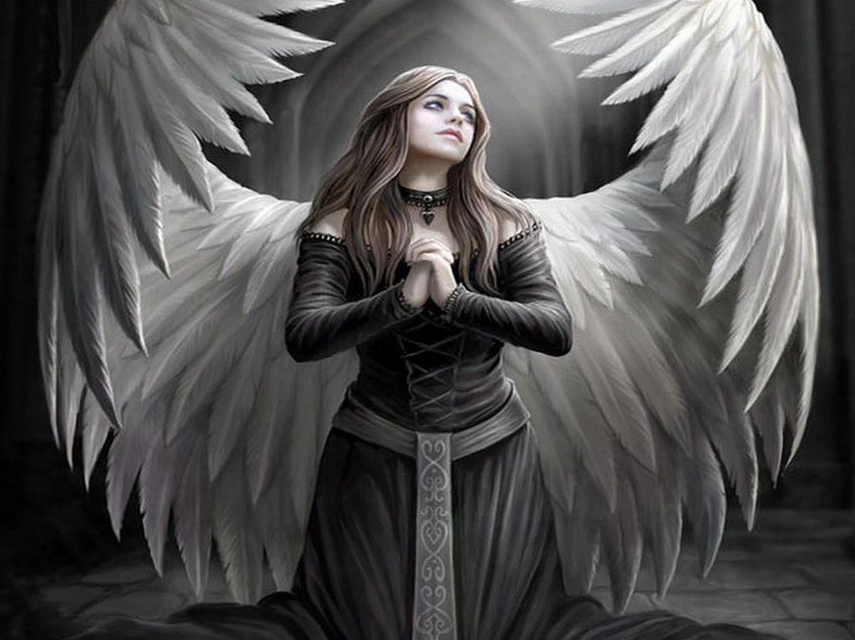 Angel | Kierra Wikia | Fandom
