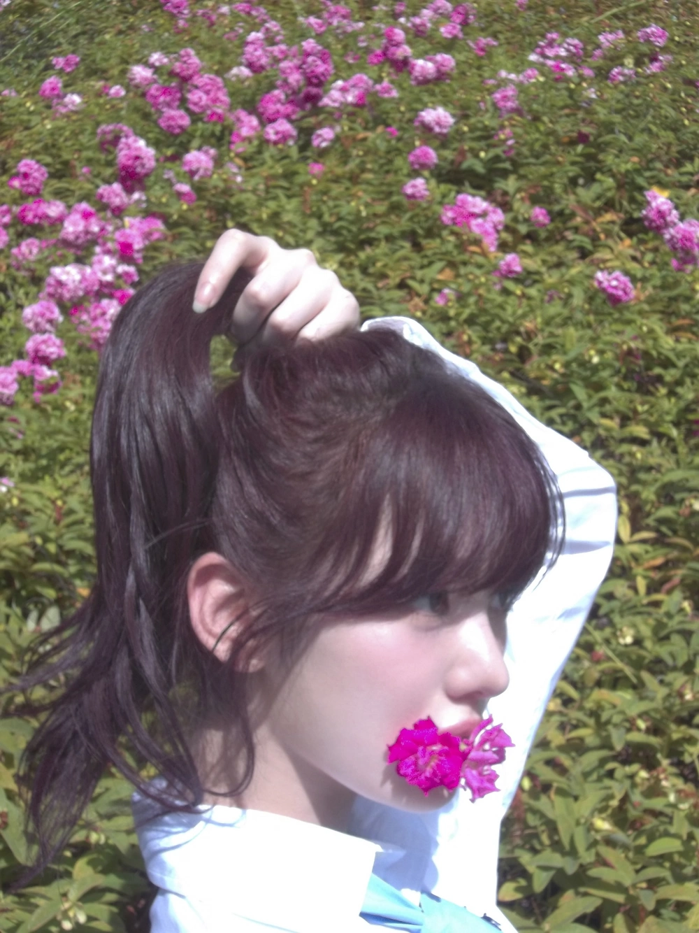 Sui | Kiiikiii Wiki | Fandom