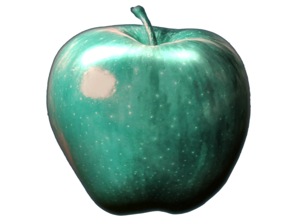 Morimori-Chan | Kikan Kisoku Wiki | Fandom