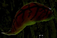 The Slug | KILLBUG Wiki | Fandom