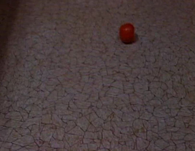 List of tomatoes and non-human characters | Killer Tomatoes Wiki | Fandom