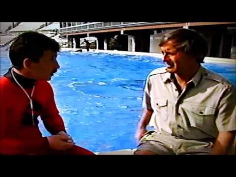 Videos of Kandu V | Killer Whale Wiki | Fandom