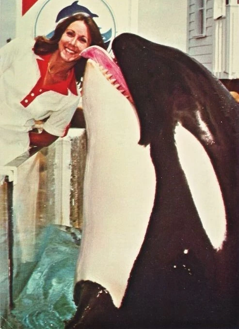 Sandy | Killer Whale Wiki | Fandom