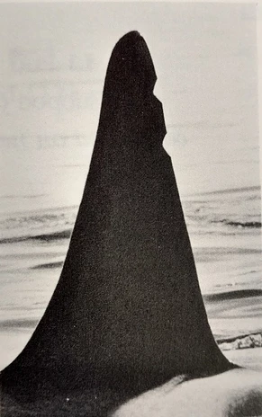 Photos of K1 Taku | Killer Whale Wiki | Fandom