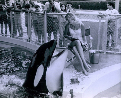 Photos of Hugo | Killer Whale Wiki | Fandom