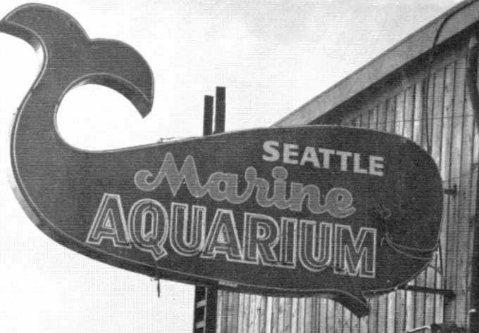 Seattle Marine Aquarium | Killer Whale Wiki | Fandom