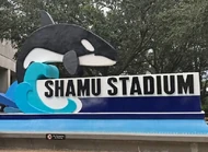 Shamu | Killer Whale Wiki | Fandom