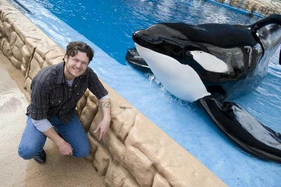 Photos of Tilikum | Killer Whale Wiki | Fandom