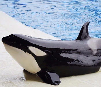Dora | Killer Whale Wiki | Fandom