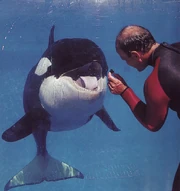 Takara | Killer Whale Wiki | Fandom