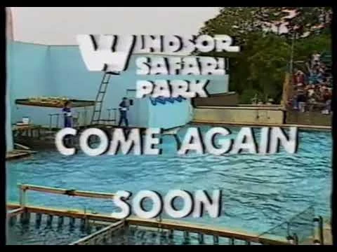 Videos of Winnie | Killer Whale Wiki | Fandom