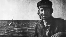 Old Tom | Killer Whale Wiki | Fandom