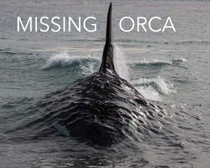 Photos of PTN-001 Mel | Killer Whale Wiki | Fandom