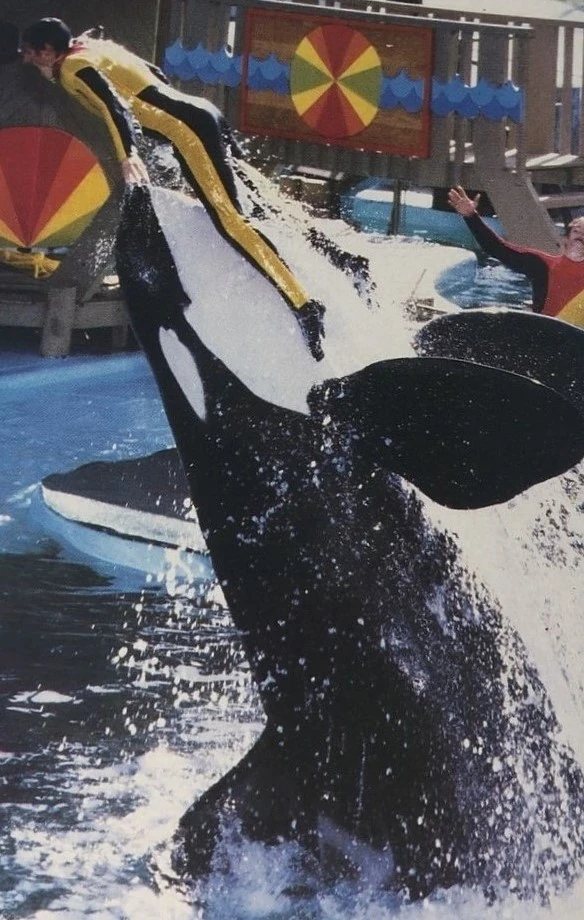 Ramu | Killer Whale Wiki | Fandom