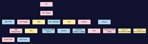 A43 Ripple | Killer Whale Wiki | Fandom
