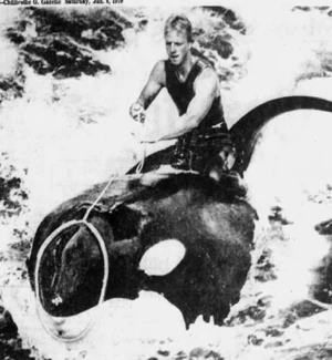 Photos of Hugo | Killer Whale Wiki | Fandom