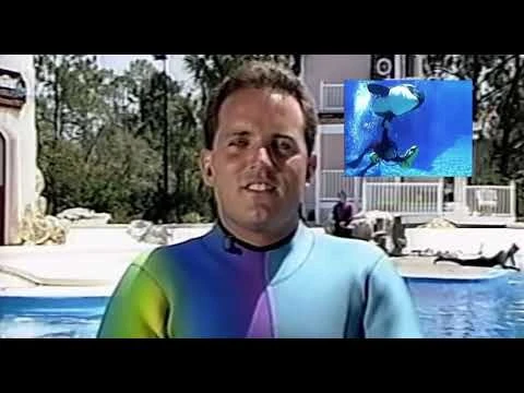 Videos of Nyar | Killer Whale Wiki | Fandom