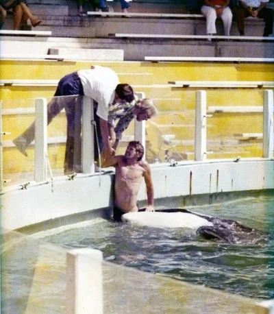 Photos of Hugo | Killer Whale Wiki | Fandom