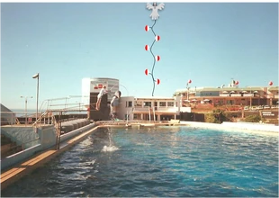 Sightings of Luke the Spook | Kilroy Wiki | Fandom