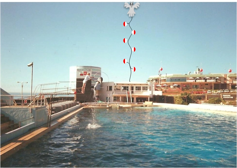 Sightings of Luke the Spook | Kilroy Wiki | Fandom