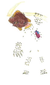 Riwanaku | Kimetsu no Yaiba Fanon Wiki | Fandom