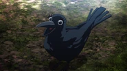 Kasugai Crow | Kimetsu no Yaiba Wiki | Fandom