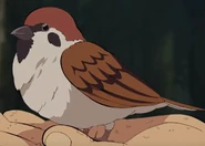 Kasugai Crow | Kimetsu no Yaiba Wiki | Fandom