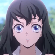 Suma/Image Gallery | Kimetsu no Yaiba Wiki | Fandom