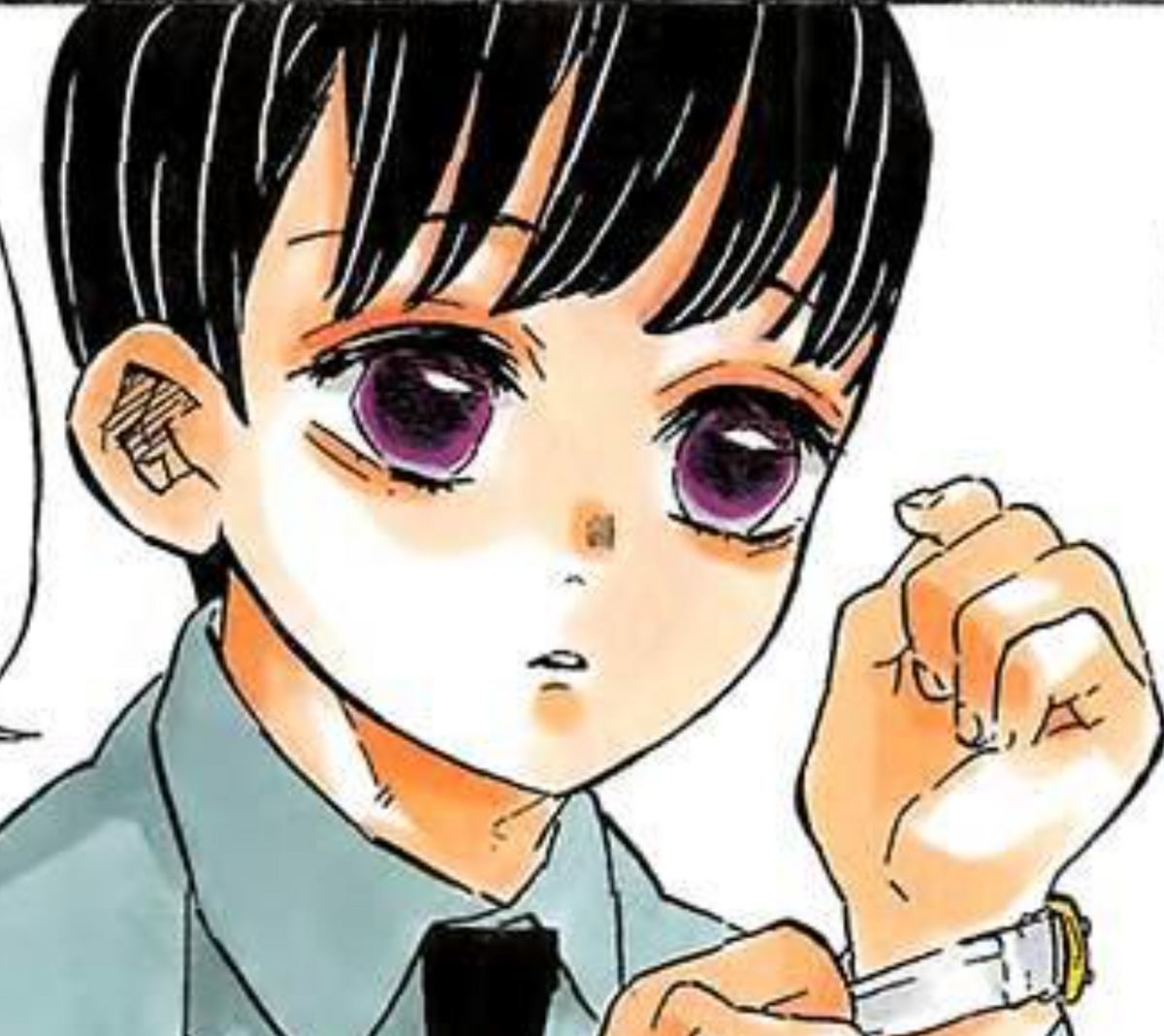 竈門彼方 鬼滅之刃 Wiki Fandom