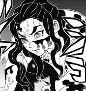 Hotaru Haganezuka | Kimetsu no Yaiba Wiki | Fandom
