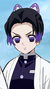 Shinobu Kocho | Kimetsu no Yaiba Wiki | Fandom