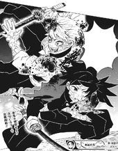 Giyu Tomioka | Wiki Kimetsu no Yaiba | Fandom