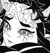Hantengu/Image Gallery | Kimetsu no Yaiba Wiki | Fandom