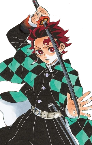 Tanjiro Kamado | Kimetsu no Yaiba Wikia | Fandom