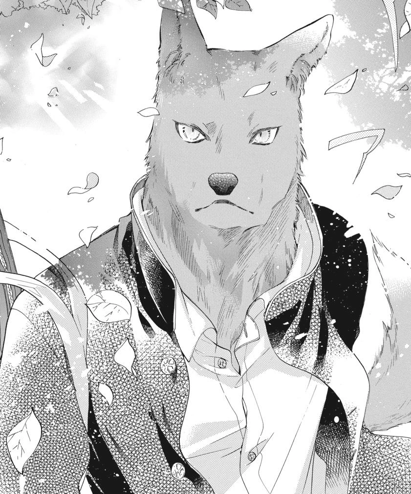 Tsunagu Hidaka | Kimi to Koete Koi ni Naru Wiki | Fandom