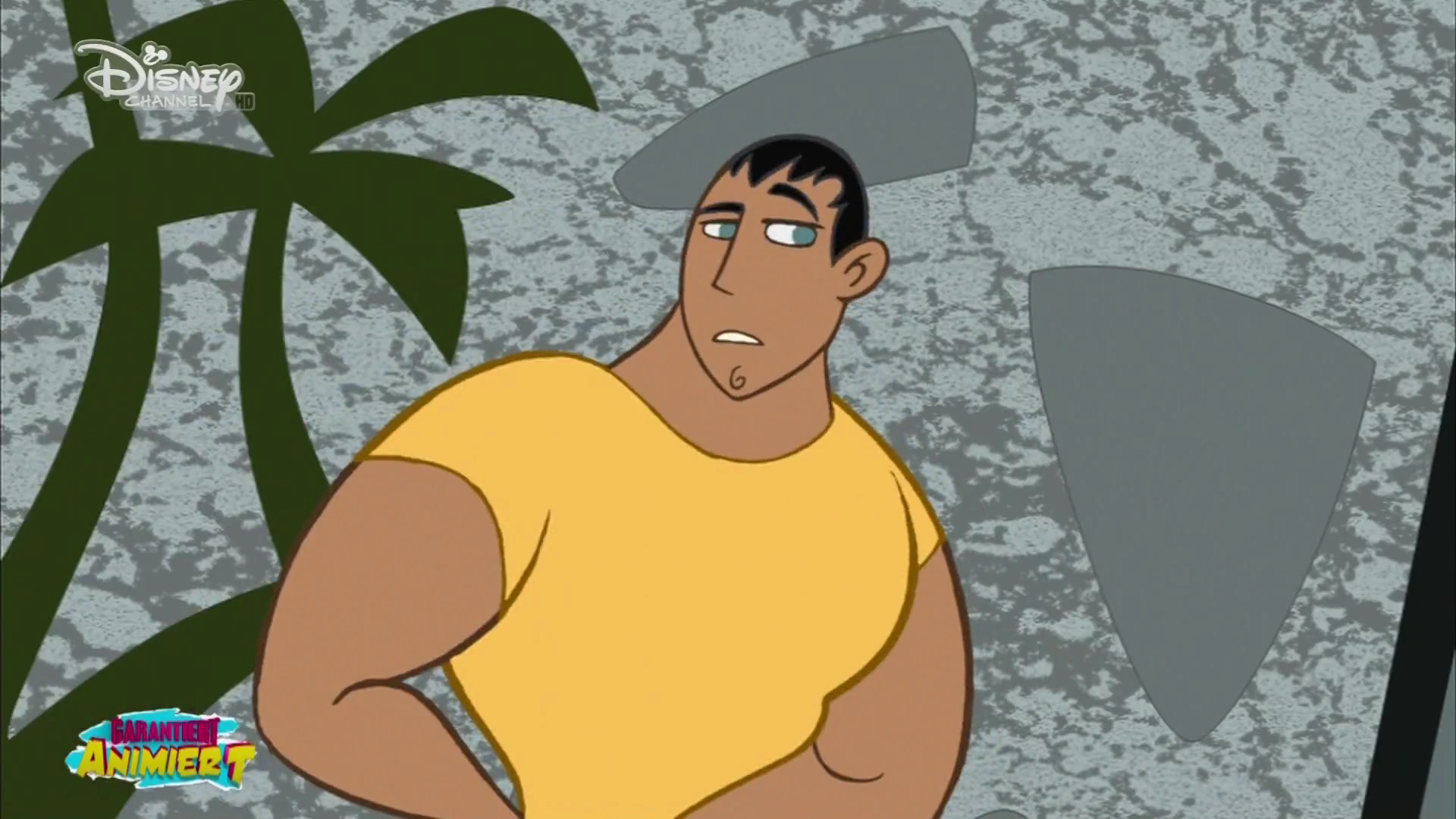 Kim Possible Senior Senior Junior