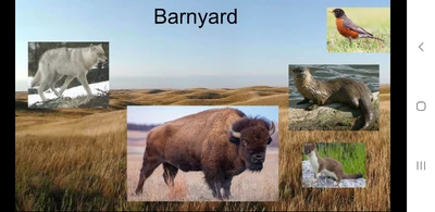 Barnyard (Andrewscholte14 Version) | Kinda Funny Wiki | Fandom