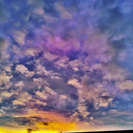 Sunshine (Gray Dot) | K-Indie Wiki | Fandom