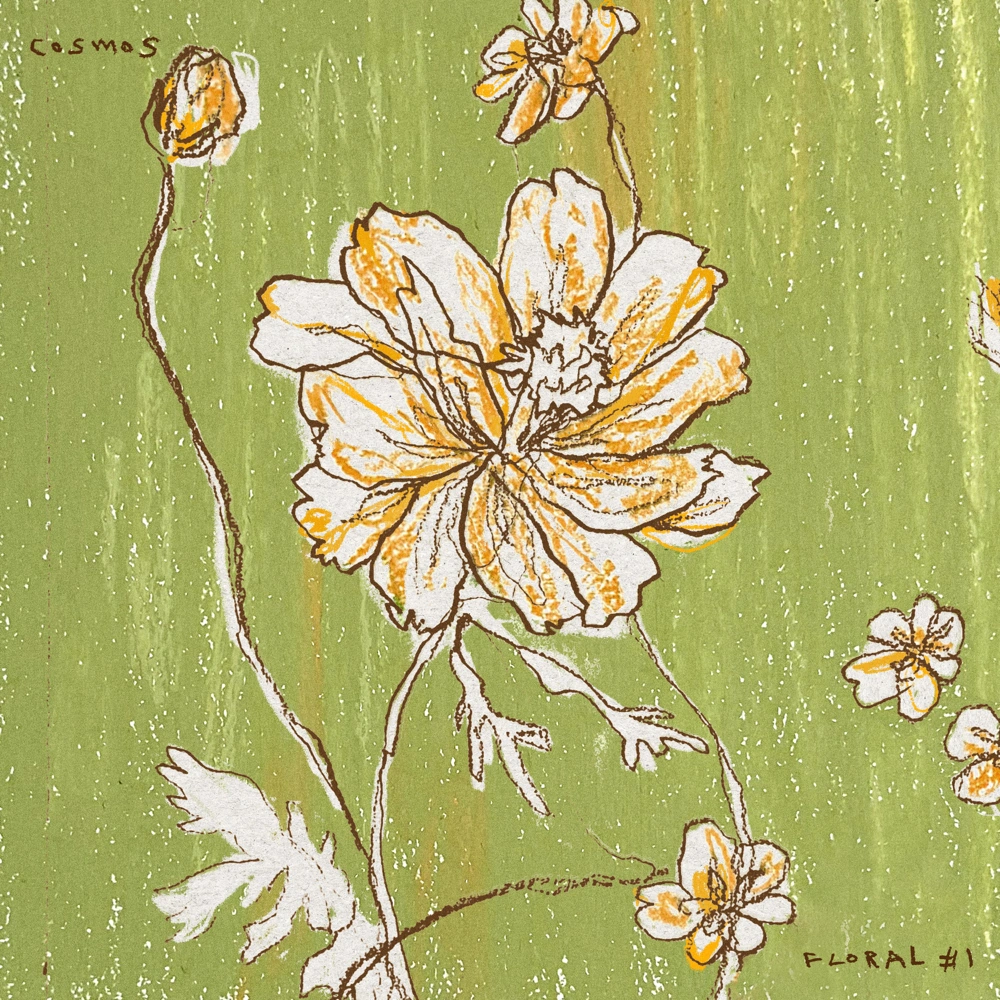 Cosmos (Lee Jun Hyung) | K-Indie Wiki | Fandom