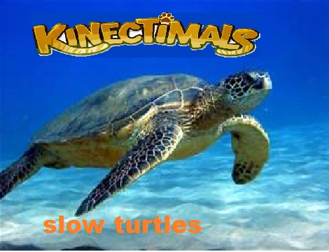 Slow turtle | Kinectimals Wiki | Fandom