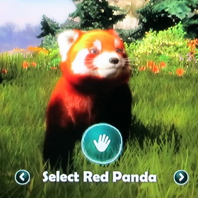 Red Panda | KinectimalsWiki | Fandom