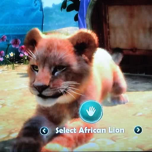 African Lion | KinectimalsWiki | Fandom