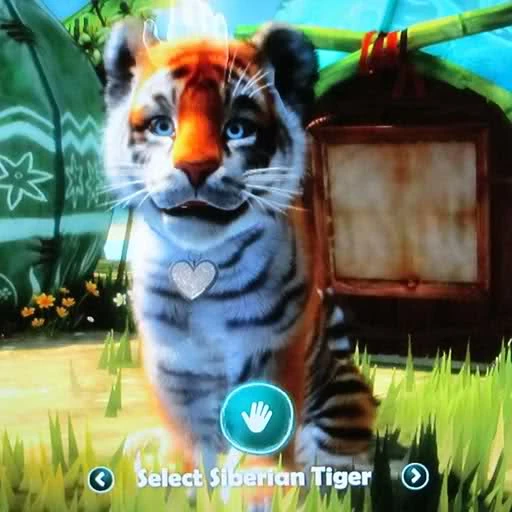 Siberian Tiger | KinectimalsWiki | Fandom