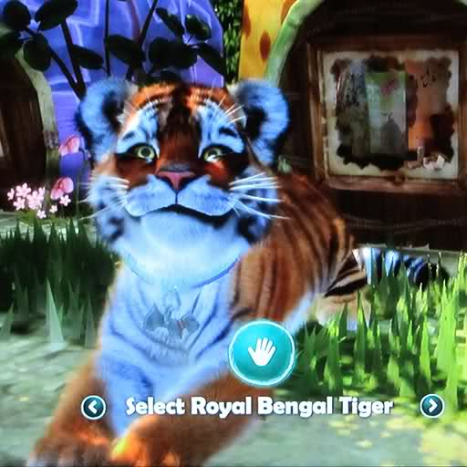 Royal Bengal Tiger | KinectimalsWiki | Fandom