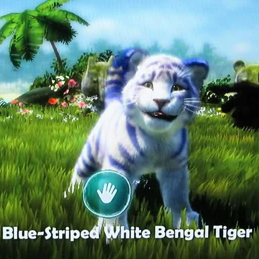 Blue Striped White Bengal Tiger | KinectimalsWiki | Fandom