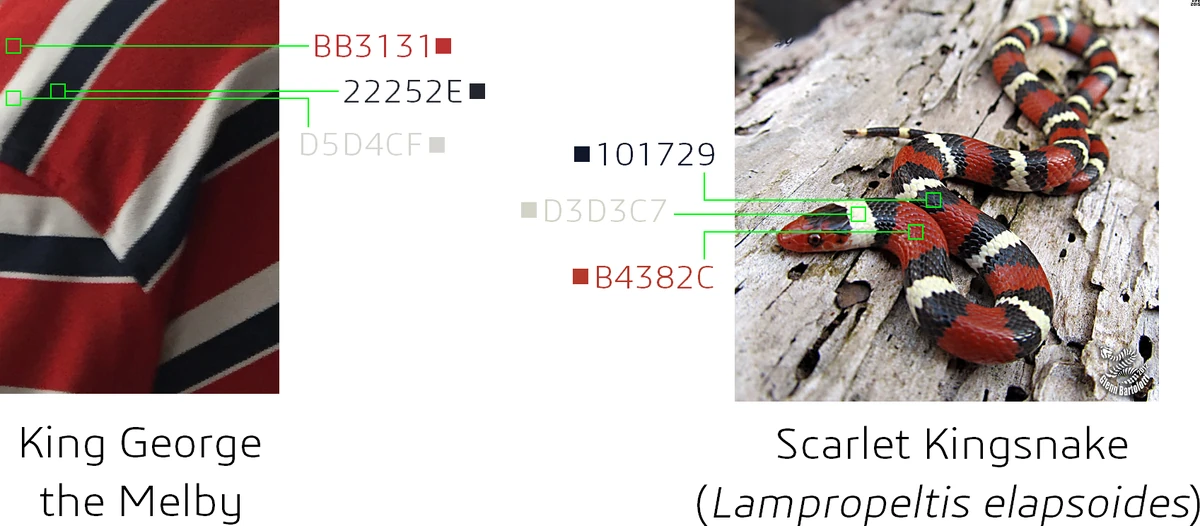 Snake Theory | King George the Melby Wikia | Fandom