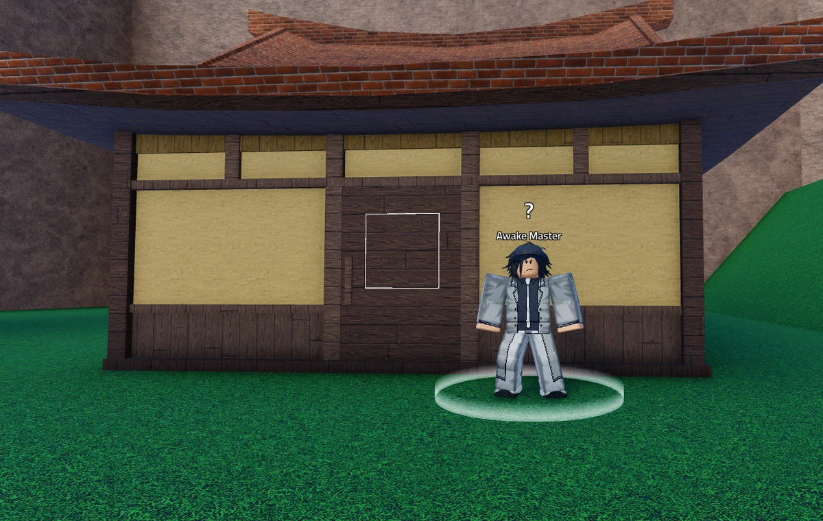 Awake Master | King Legacy Wiki | Fandom